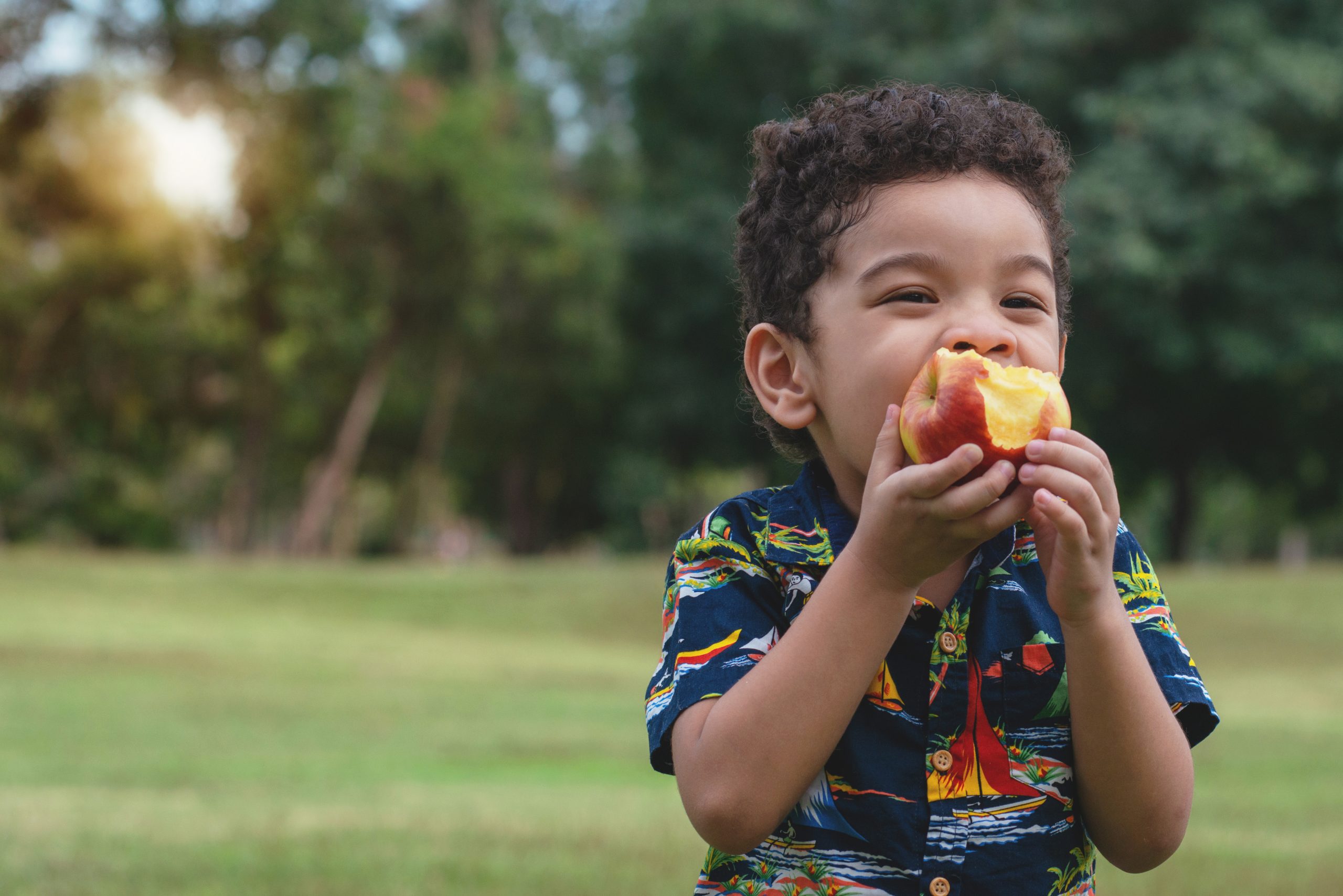 The Correlation with Brain Development and Food - Long Island Cares ...