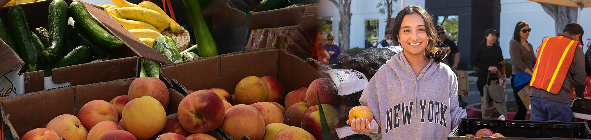 Join the Fight Against Hunger - Long Island Cares | The Harry Chapin ...